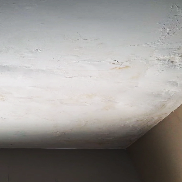 3 Proven Tips to Check Waterproofing Before Buying a House